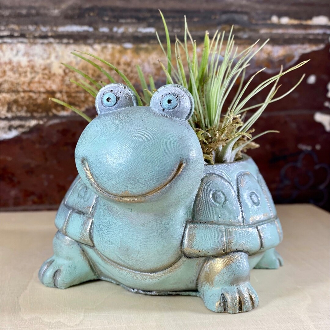 Mini Cement Planter With Drainage Turtle Flower Pot Animal Lover Modern ...