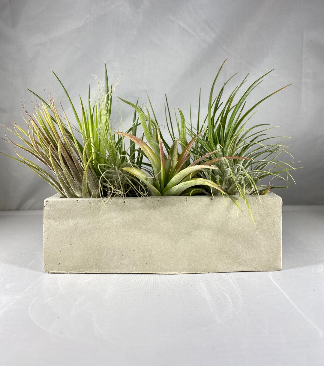 Modern Rectangle Cement Planter Box With Drainage Holes - Etsy