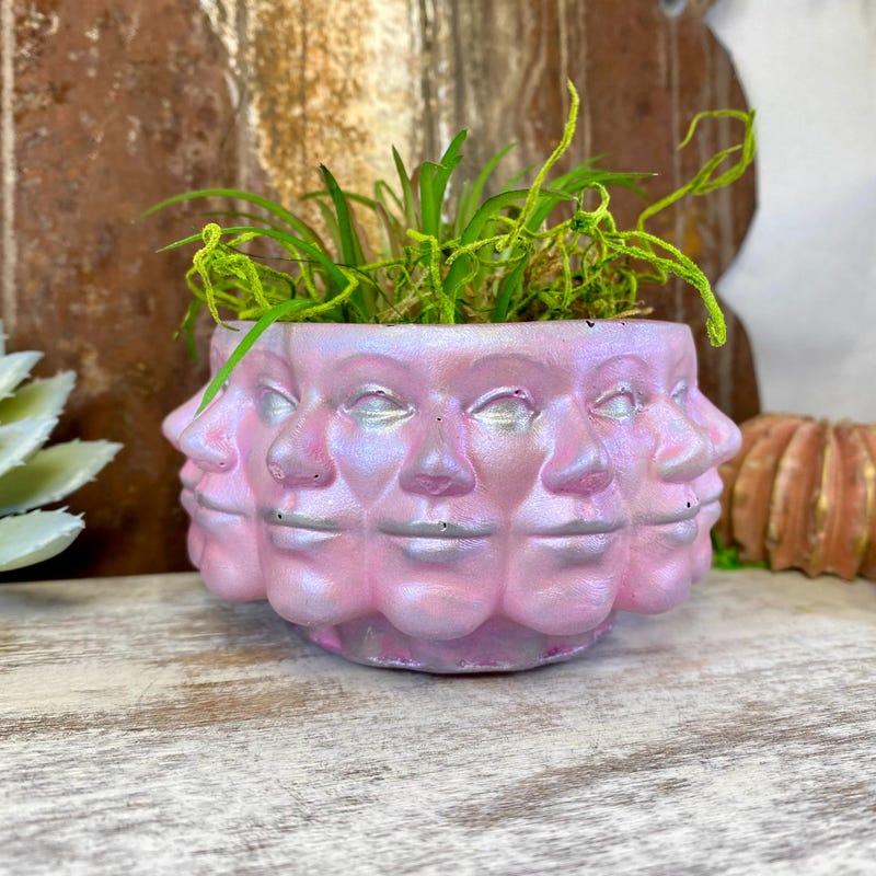 Multi Face Planter - Etsy