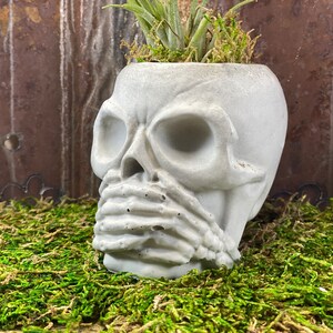 Skull Cement Planter Set Hear No Evil See No Evil Speak No Evil Plant ...