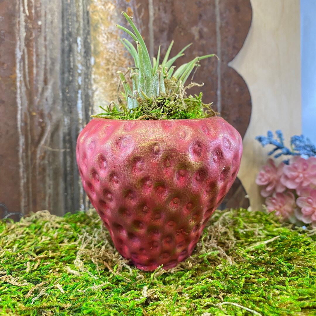 Small Strawberry Cement Planter Cottagecore Trinket Jar Unique ...