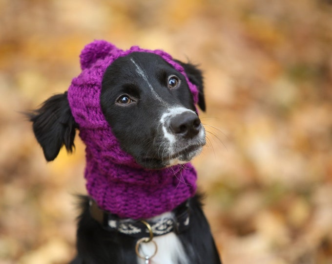 The Dog Snood Winter Dog Hat Dog Cowl Knitted Dog Hat Dog - Etsy