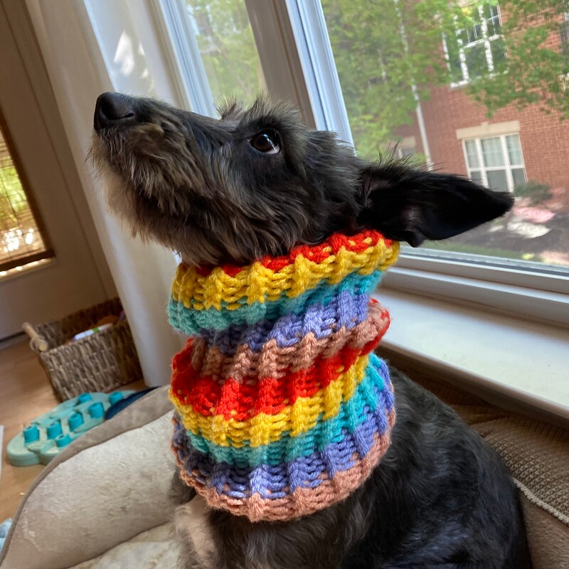 Hand Knit Dog Scarves - Etsy