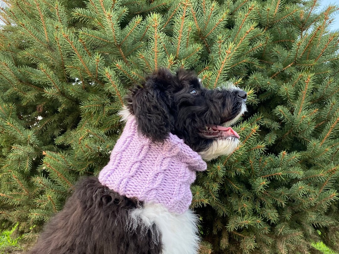 The Cable Dog Neckwarmer Winter Dog Neck Warmer Dog Cowl - Etsy