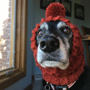 The Dog Snood Winter Dog Hat, Dog Cowl, Knitted Dog Hat, Dog Scarf, Pet ...