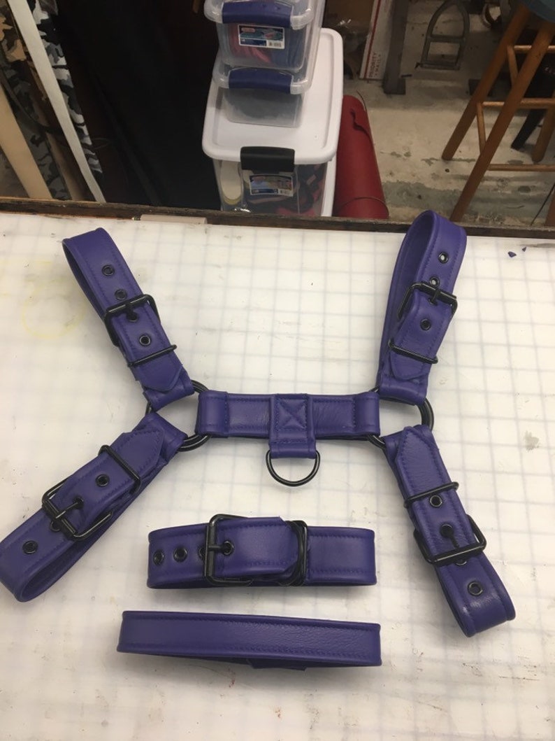 Bulldog Buckle Harness - Etsy