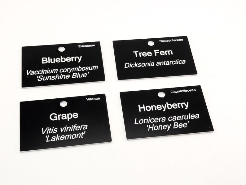 Custom Engraved Hanging Plant Label With Hanging Loop - Botanical ...