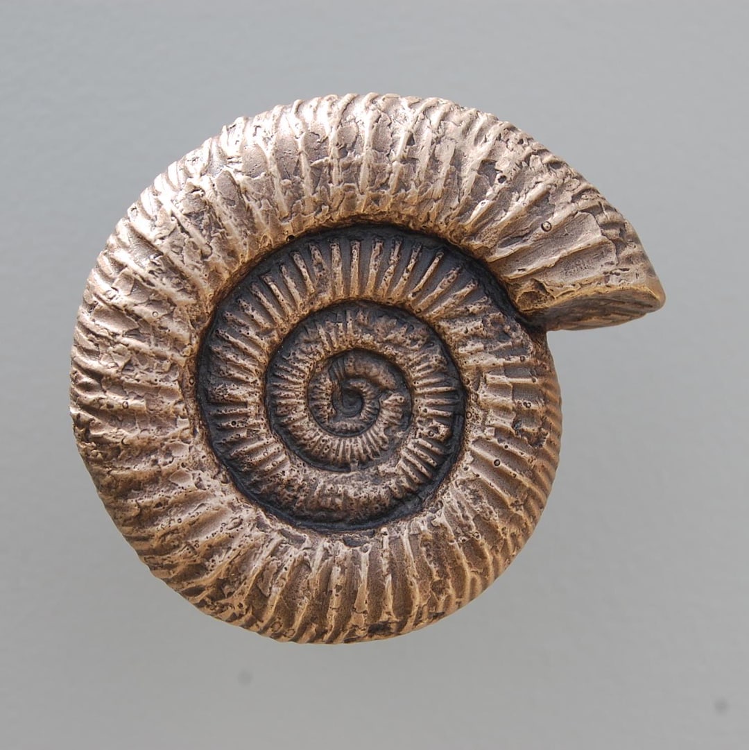 Large Ammonite Coat Hook, Prehistoric Sculpture, Fossil Art, Dinosaur ...