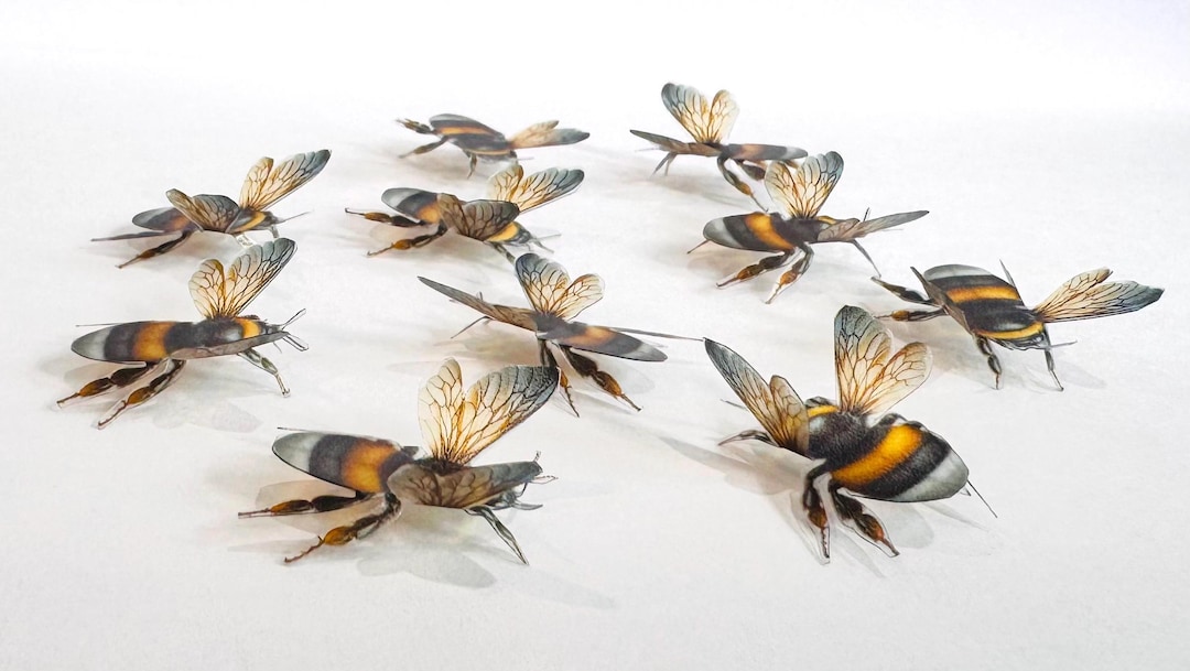 Mini Bees. Miniature Bumble Bees, Craft Projects, Embellishments, Bee ...