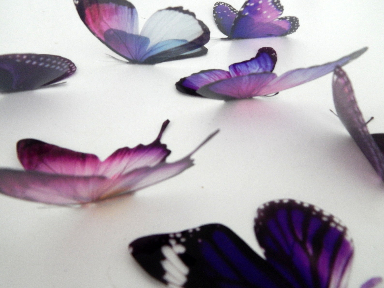 Bespoke Purple Butterflies From the Purple | Etsy