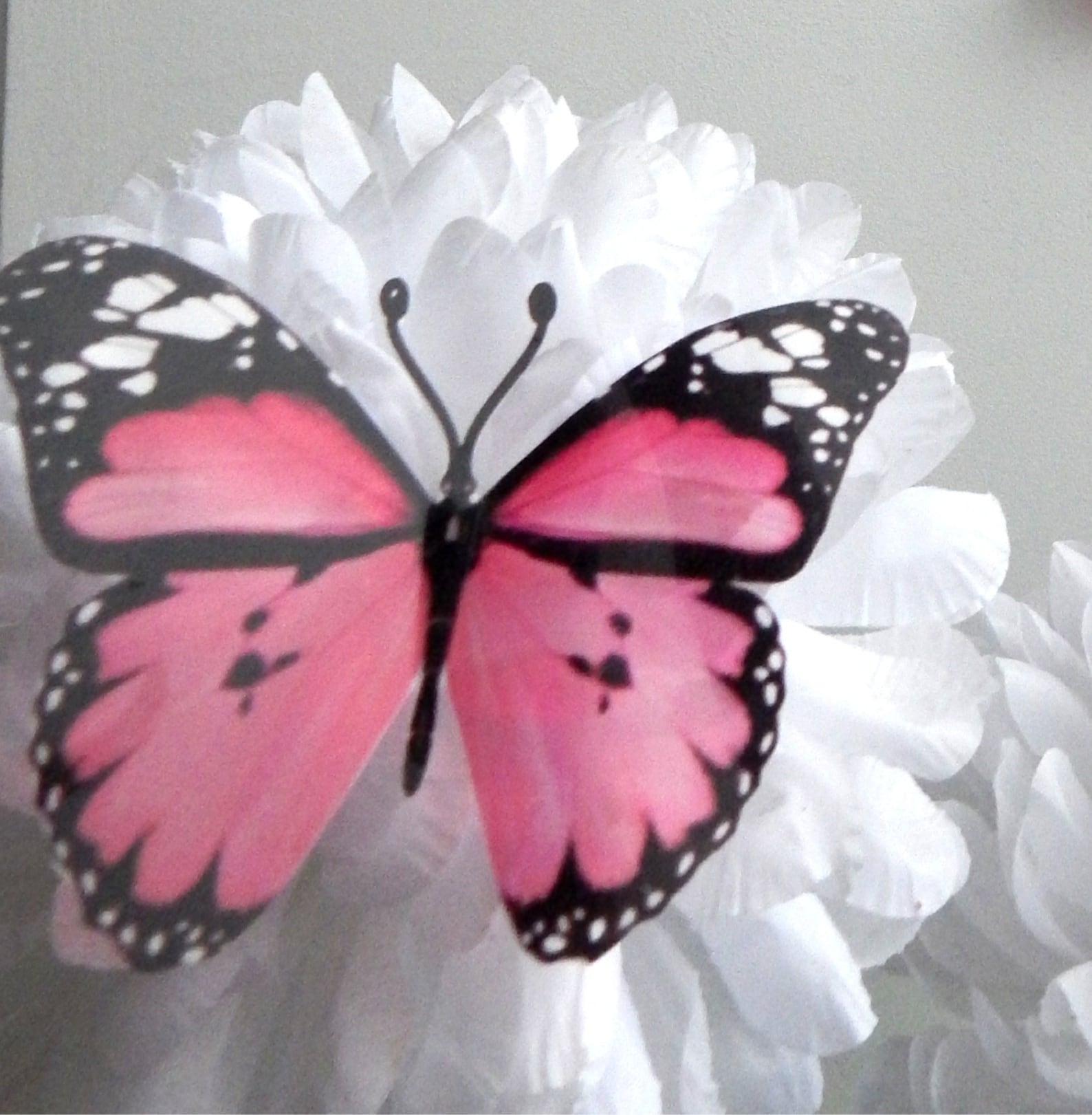3d Butterflies Pink Luxury Amazing Butterflies 3D Butterfly - Etsy
