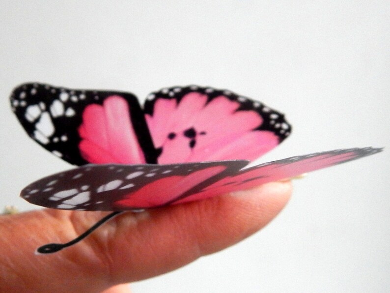 3d Butterflies Pink Luxury Amazing Butterflies 3D Butterfly - Etsy