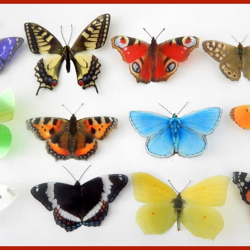 Butterfly Models - Etsy UK