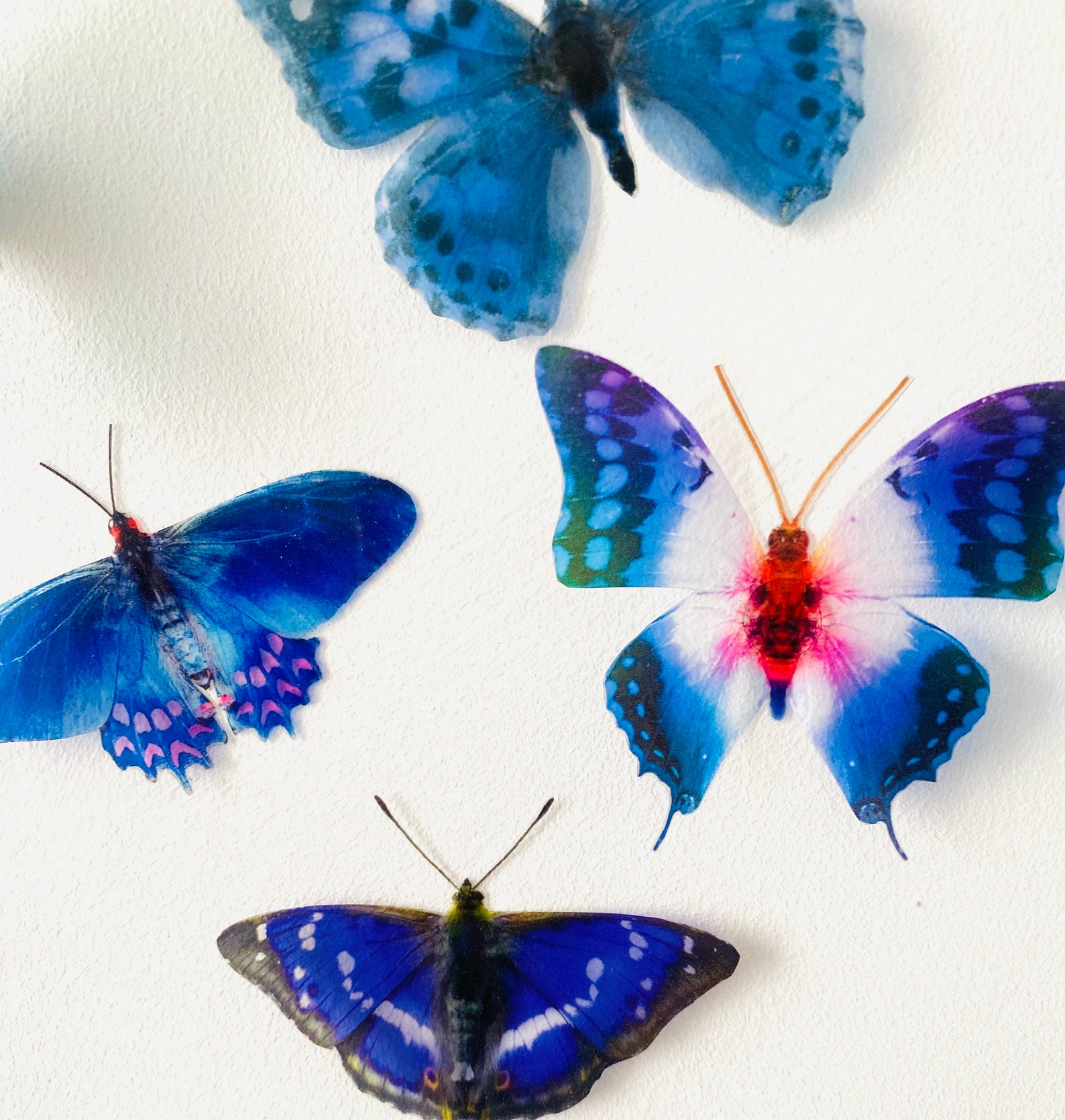 Blue Butterfly Wall Decor, Handmade Faux Butterflies (set of 12) - Etsy