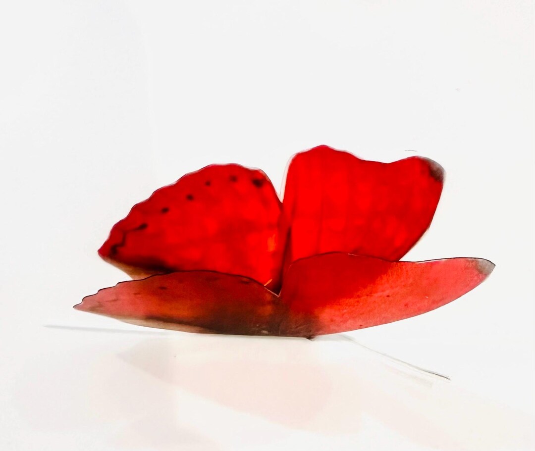 Red Butterfly Wall Decor, Handmade Faux Butterflies, Set of 12 - Etsy