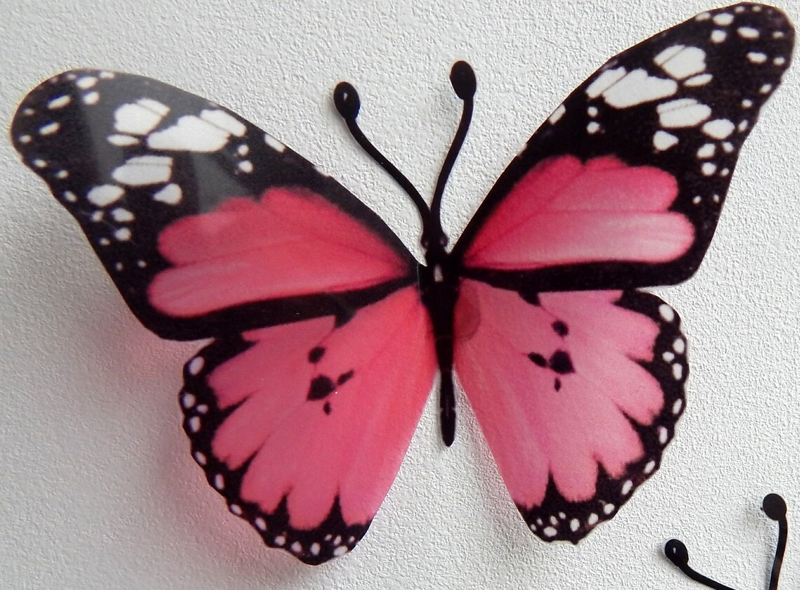 3d Butterflies Pink Luxury Amazing Butterflies 3D Butterfly - Etsy
