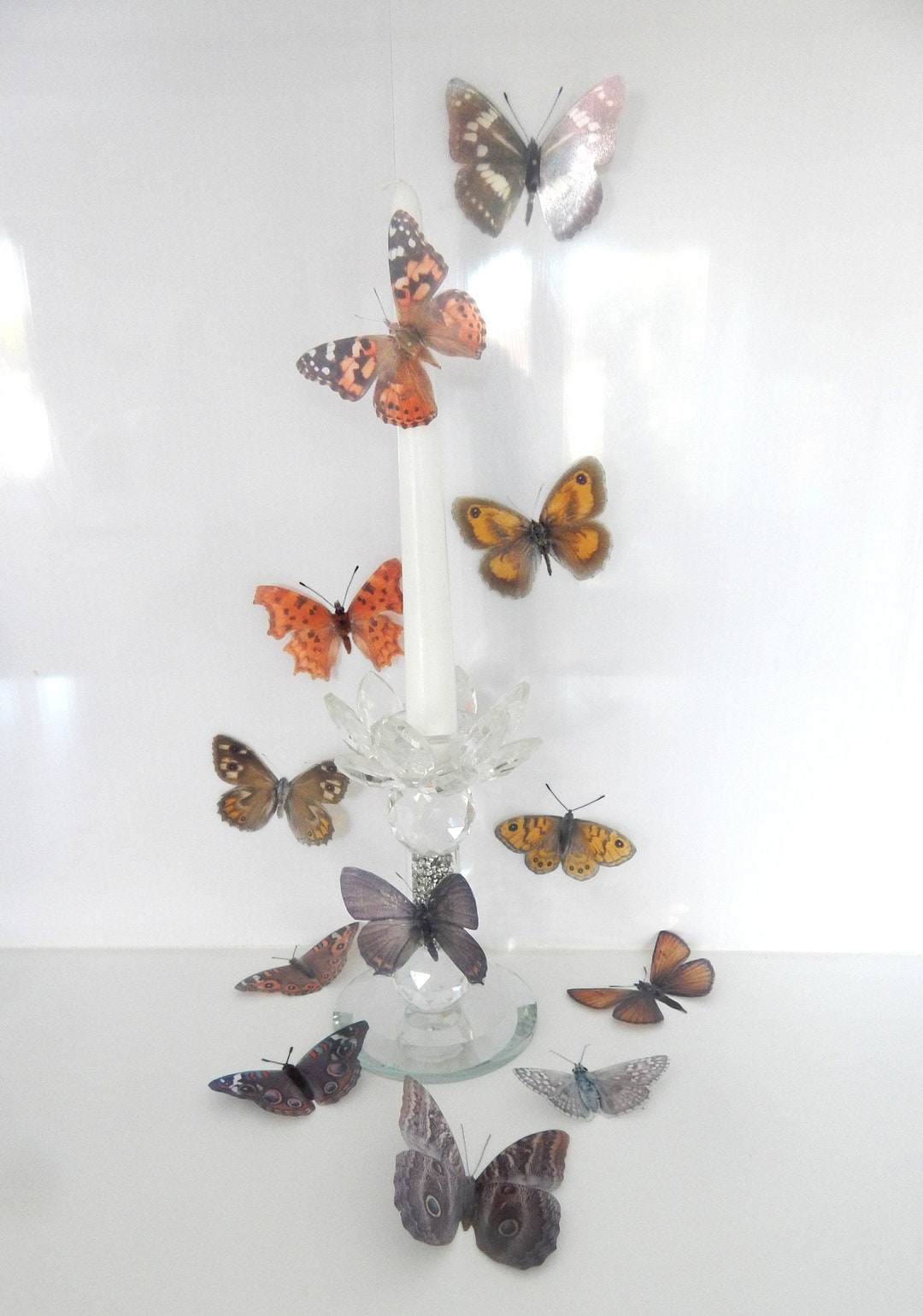 Brown Butterflies.12 Pieces Mix Wall Butterflies,faux Butterflies ...