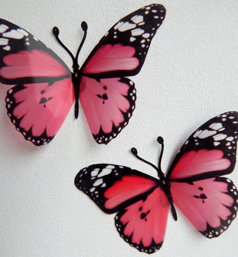 3d Butterflies Pink Luxury Amazing Butterflies 3D Butterfly - Etsy
