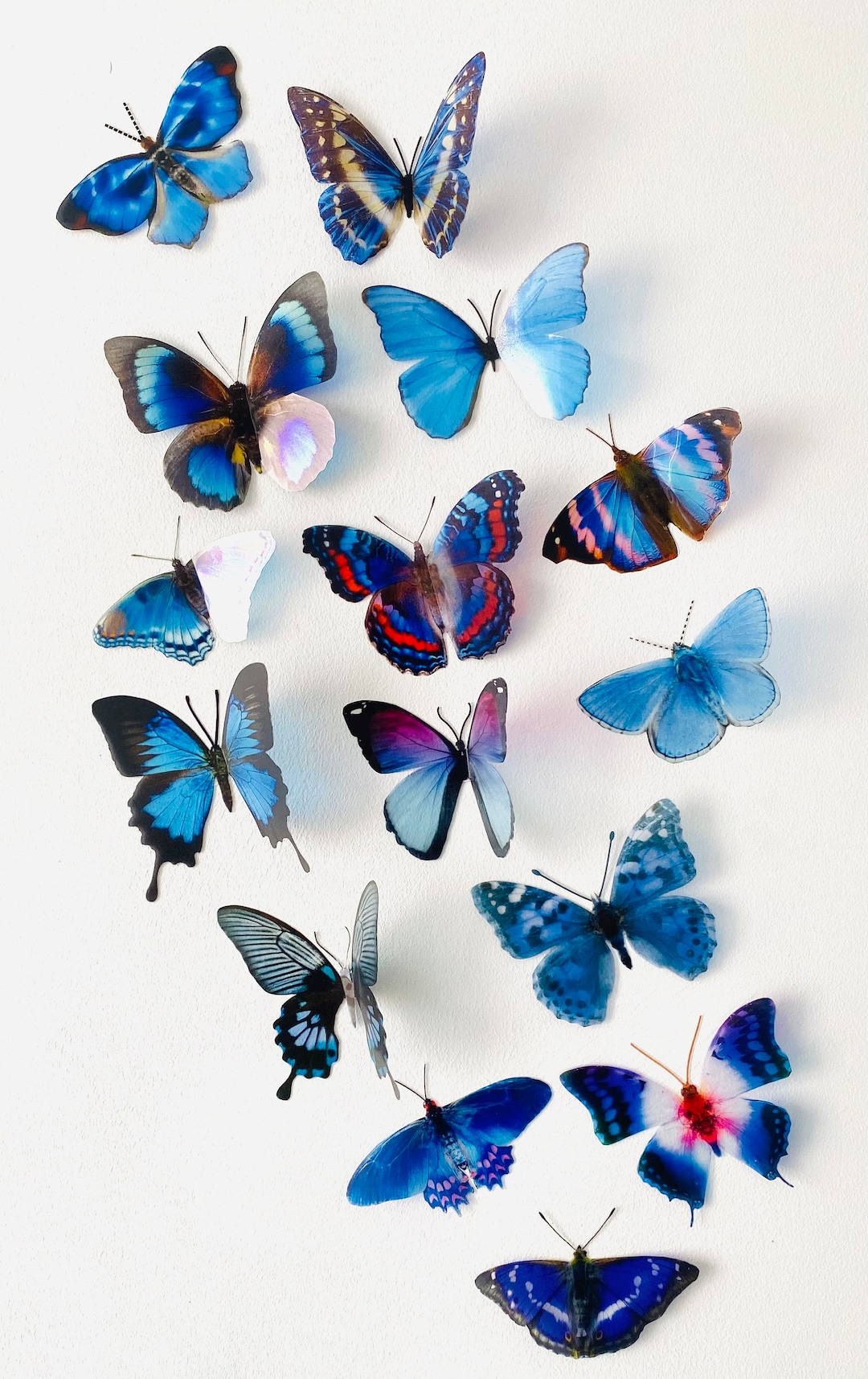 Blue Butterflies Collection. Set of 12 Faux Natural Butterflies ...