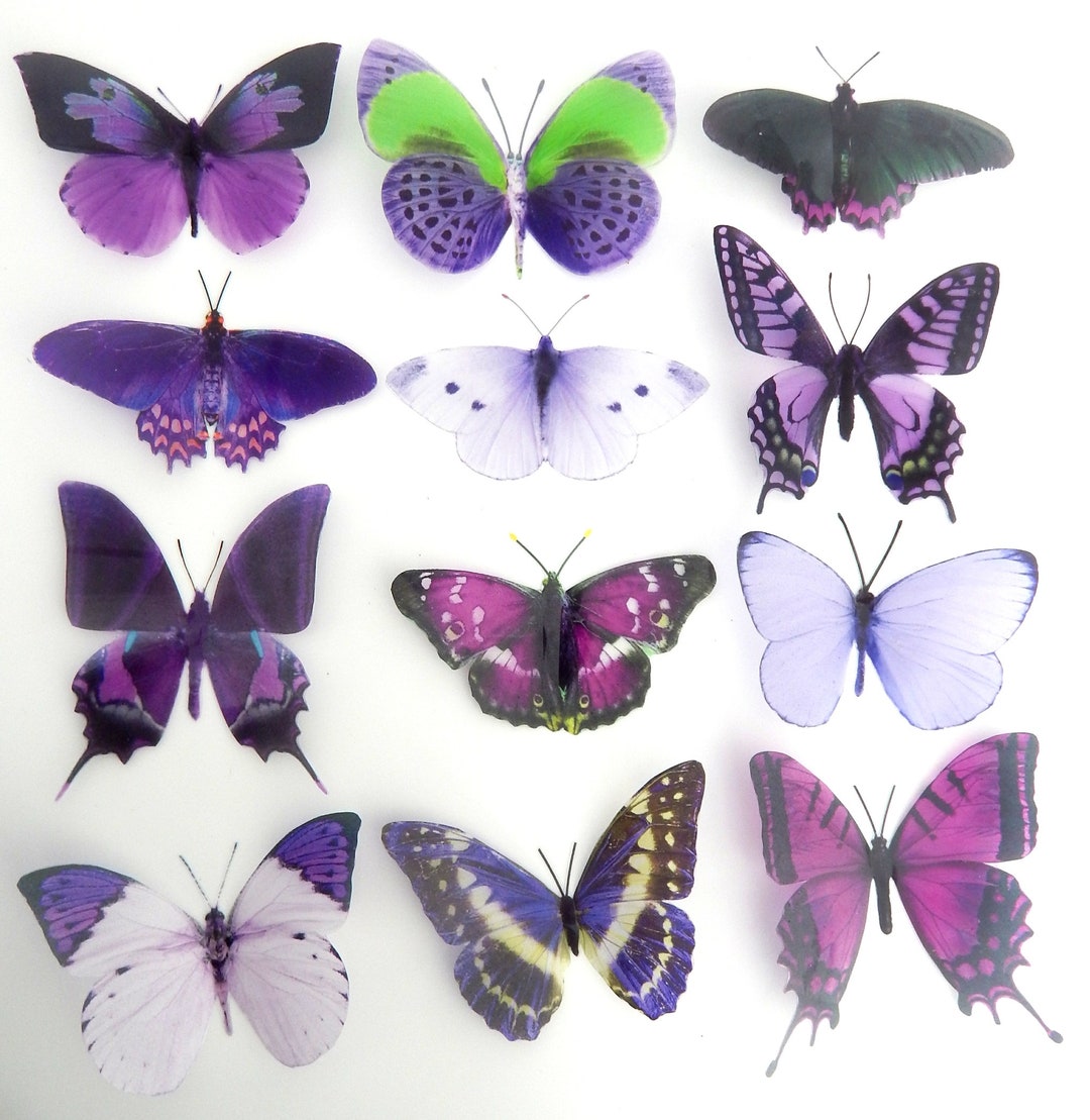 Purple Butterflies.12 Pieces Mix Wall Butterflies,faux Butterflies ...