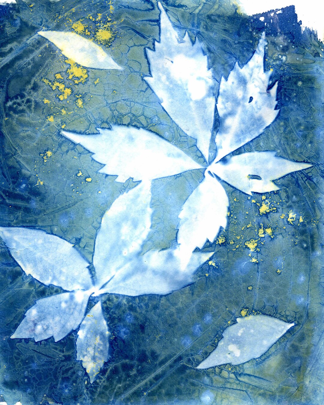 Printable Cyanotype Fall Leaves 2 - Etsy