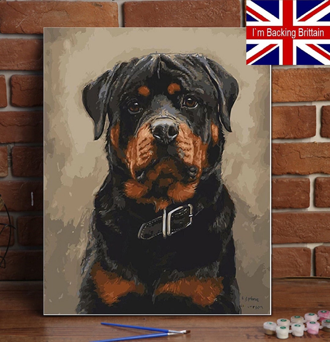 Custom Paint by Numbers UK Kit for Adults, Pets Portrait, Dogs, Cats ...
