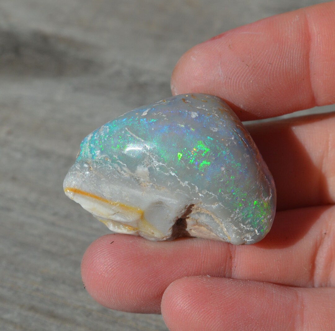 Australian Opal Fossil Shell, Large Coober Pedy Shell 109 Carats - Etsy