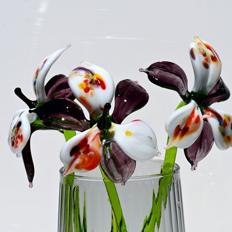 Stained Glass Orchids - Etsy