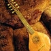 Renaissance Cittern - Etsy
