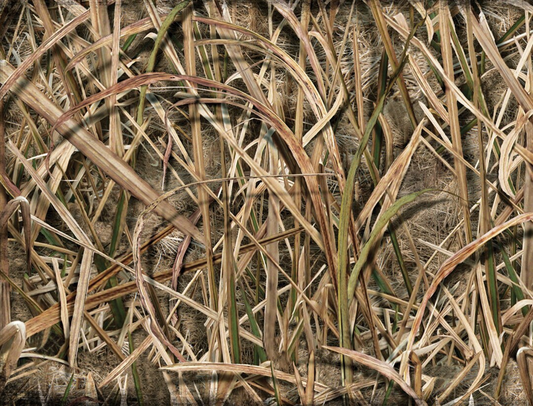 Wetlands CAMO Edible Image 1/4 1/2 Sugar Sheet Cake Topper Great for ...