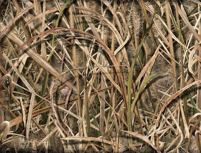 Wetlands CAMO Edible Image 1/4 1/2 Sugar Sheet Cake Topper Great for ...