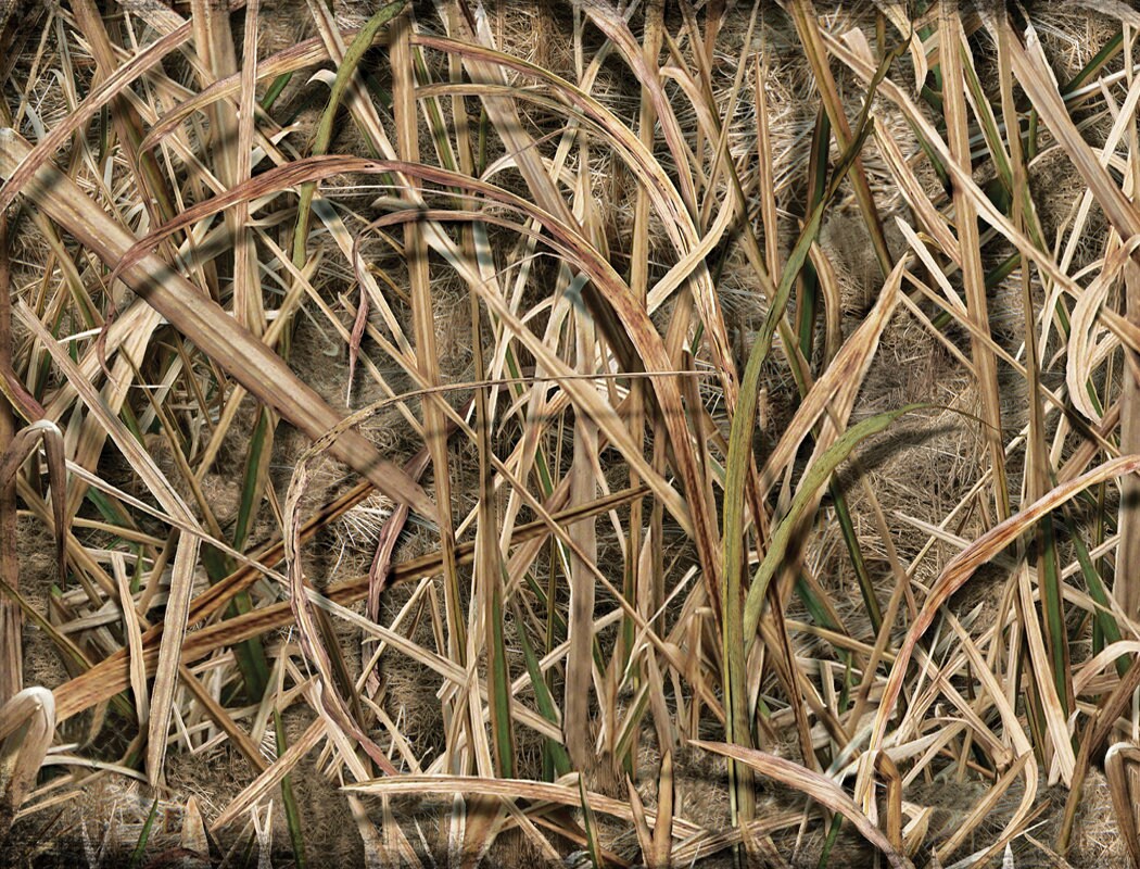 Wetlands CAMO Edible Image 1/4 1/2 Sugar Sheet Cake Topper Great for ...