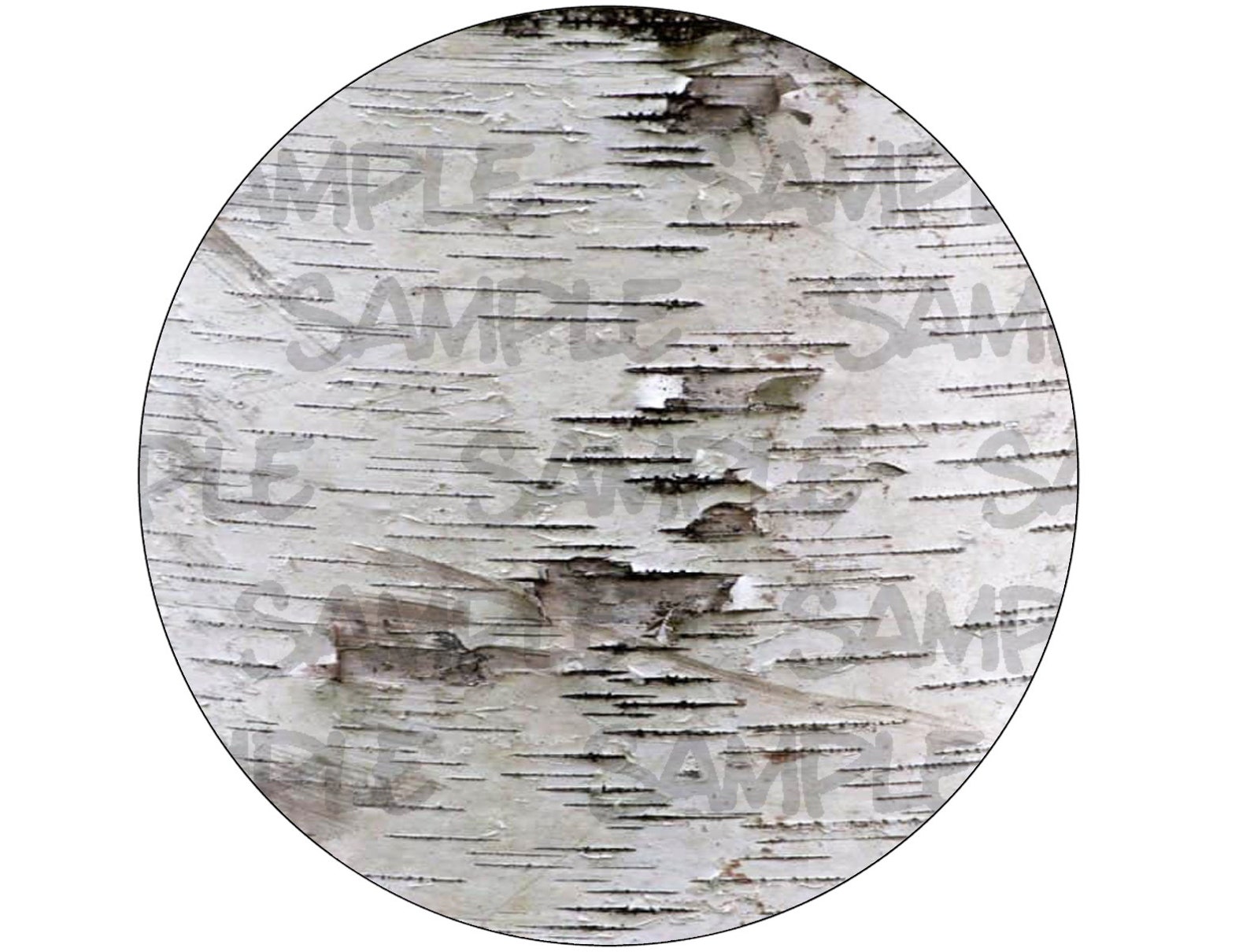 Birch Bark Tree Edible Image Cake Topper 1/4 Sheet Great for | Etsy