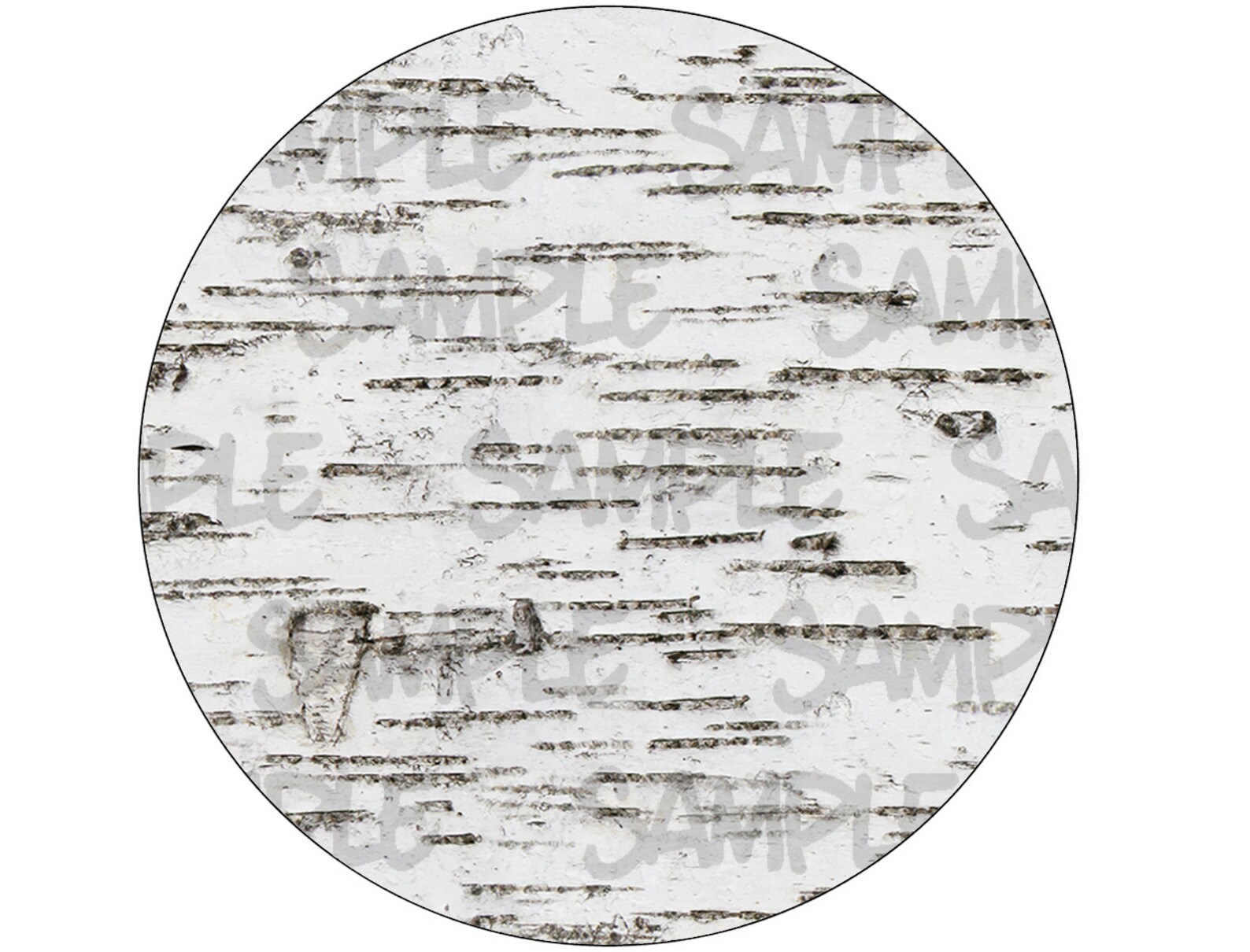 Birch Bark Tree Edible Image Cake Topper 1/4 Sheet Great for | Etsy