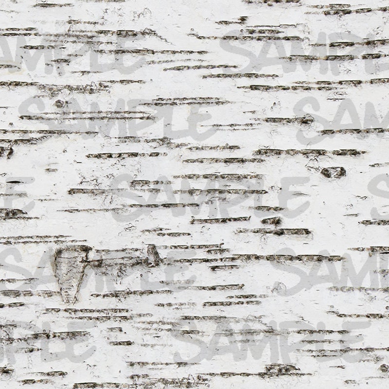 Birch Bark Paper - Etsy