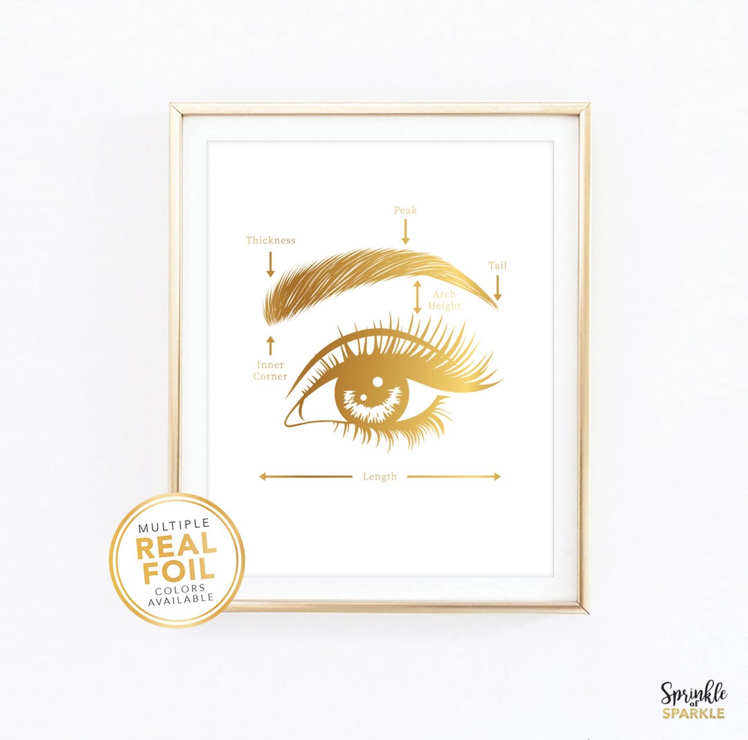 Eyebrow Wall Art, Eyebrow Diagram Print in Gold Foil, Eyebrow Salon ...