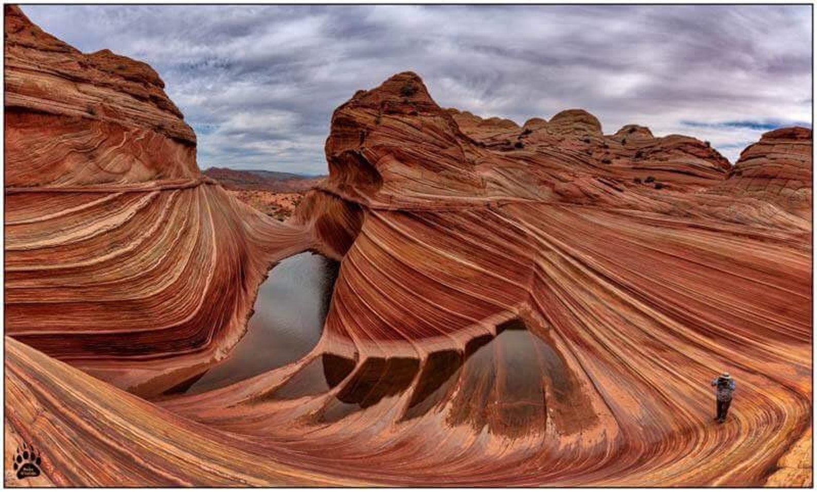 Water in the Wave, Red Rock Formations, Arizona Landscape Photography ...