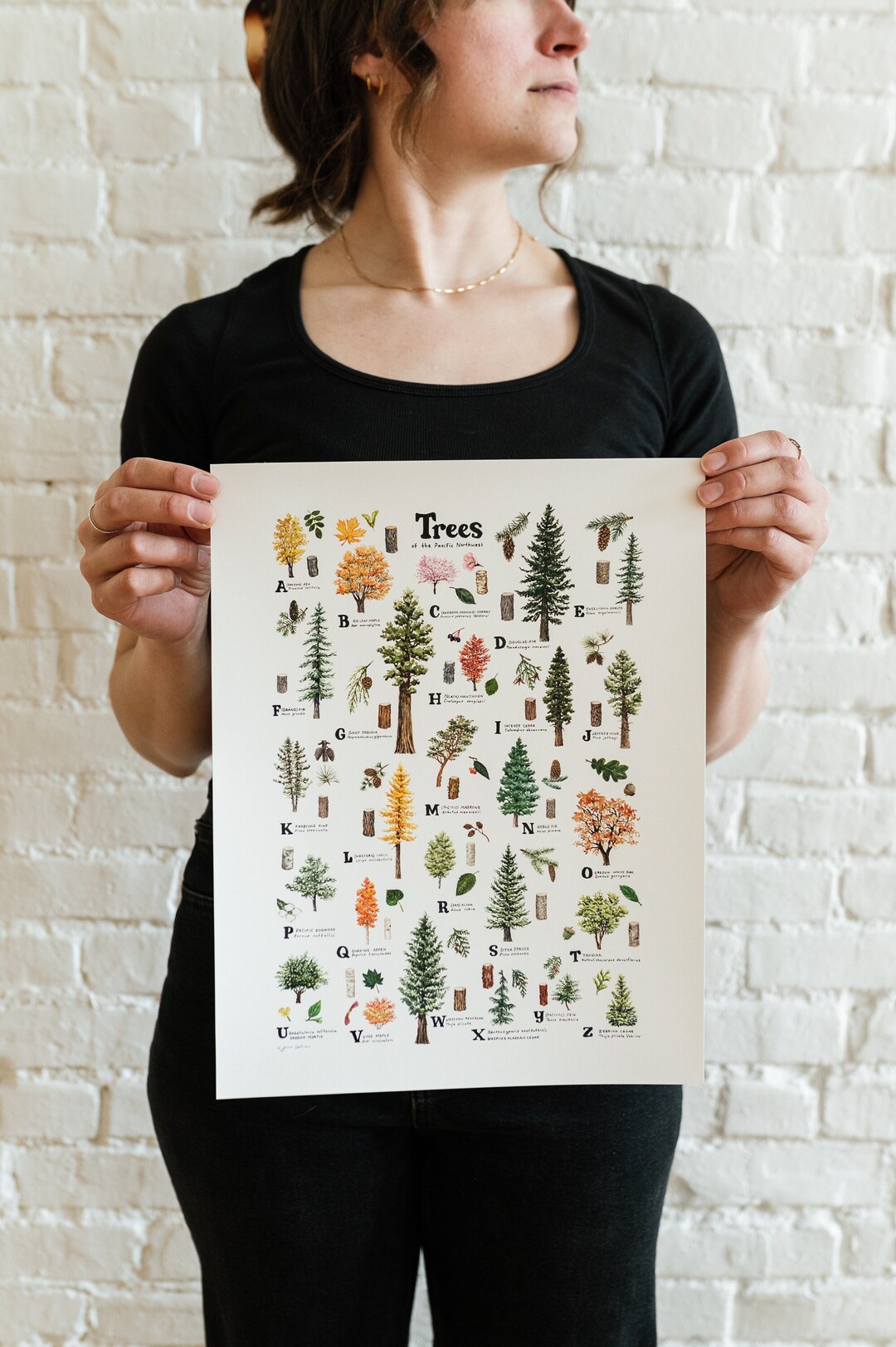 ABC Trees of the Pacific Northwest Print / Alphabet Trees Print ...