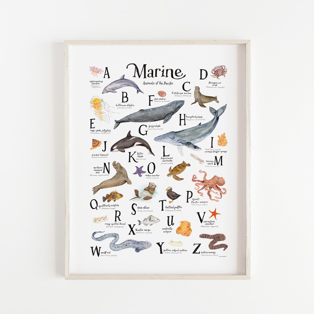 ABC Marine Animals of the Pacific Poster / Ocean Life Alphabet Fine Art ...