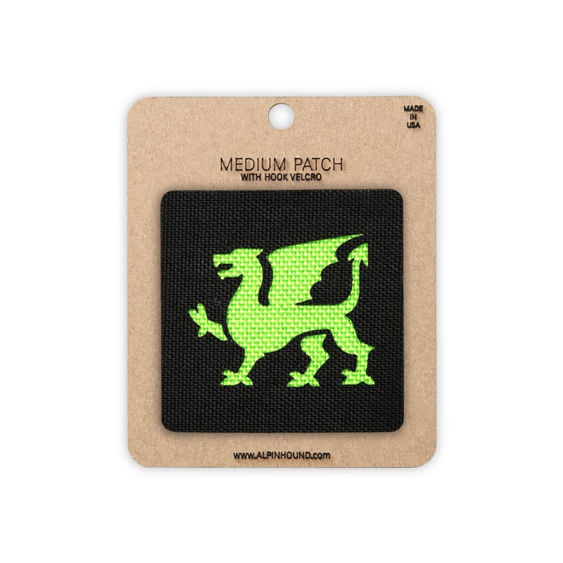 Dragon Applique Patch - Etsy