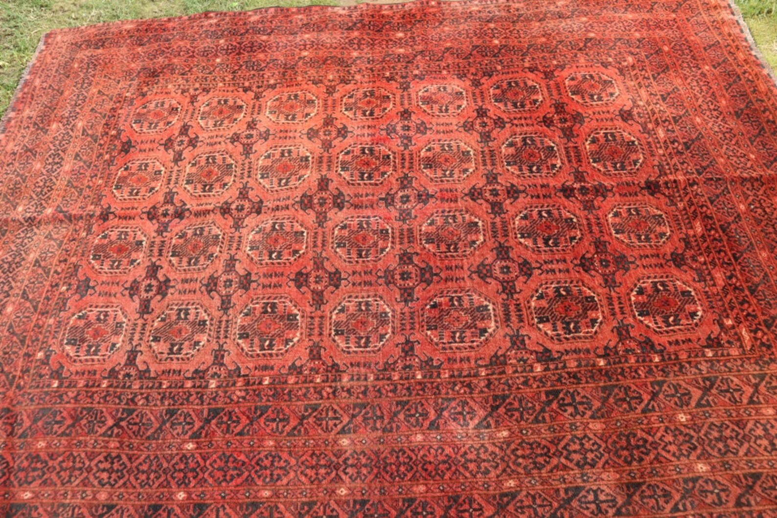 6.6 X 8.9 Antique Wazir Gul Pattern Turkoman CarpetNatural | Etsy