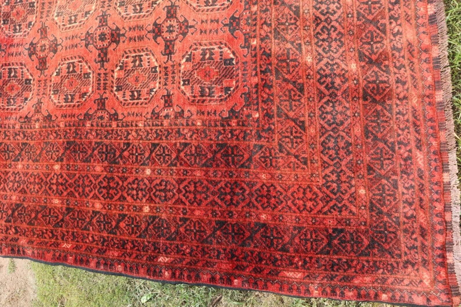 6.6 X 8.9 Antique Wazir Gul Pattern Turkoman CarpetNatural | Etsy