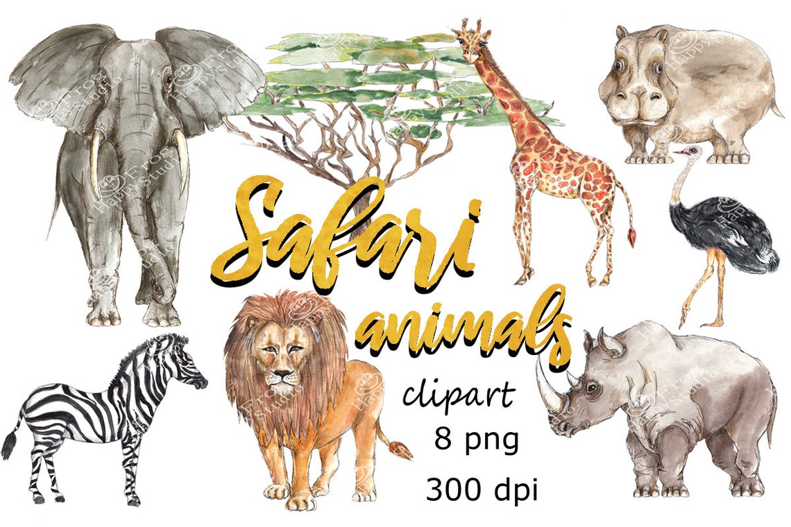 Watercolor Clipart Realistic Safari African Wildlife Animals - Etsy