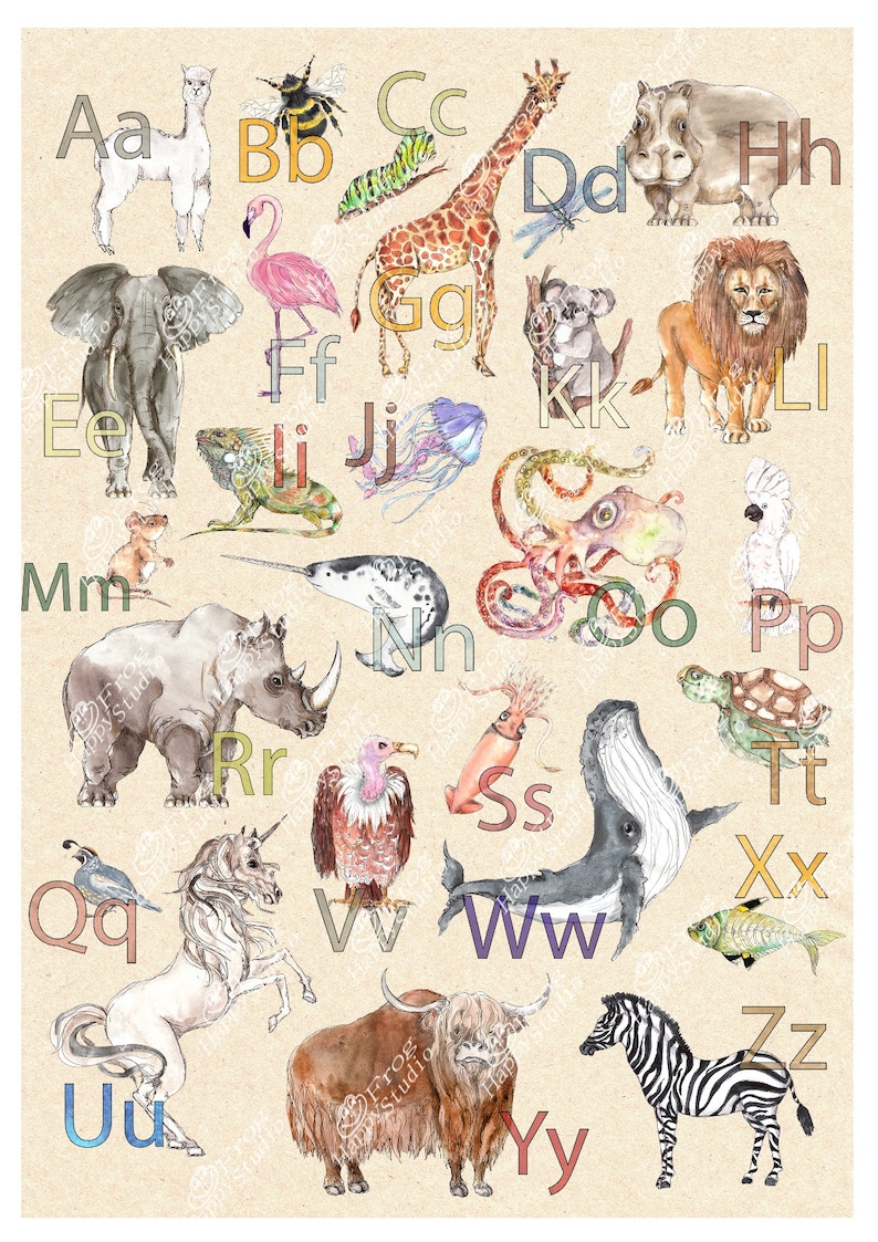 Watercolor Alphabet Poster A4 Animal Birds ABC Poster - Etsy