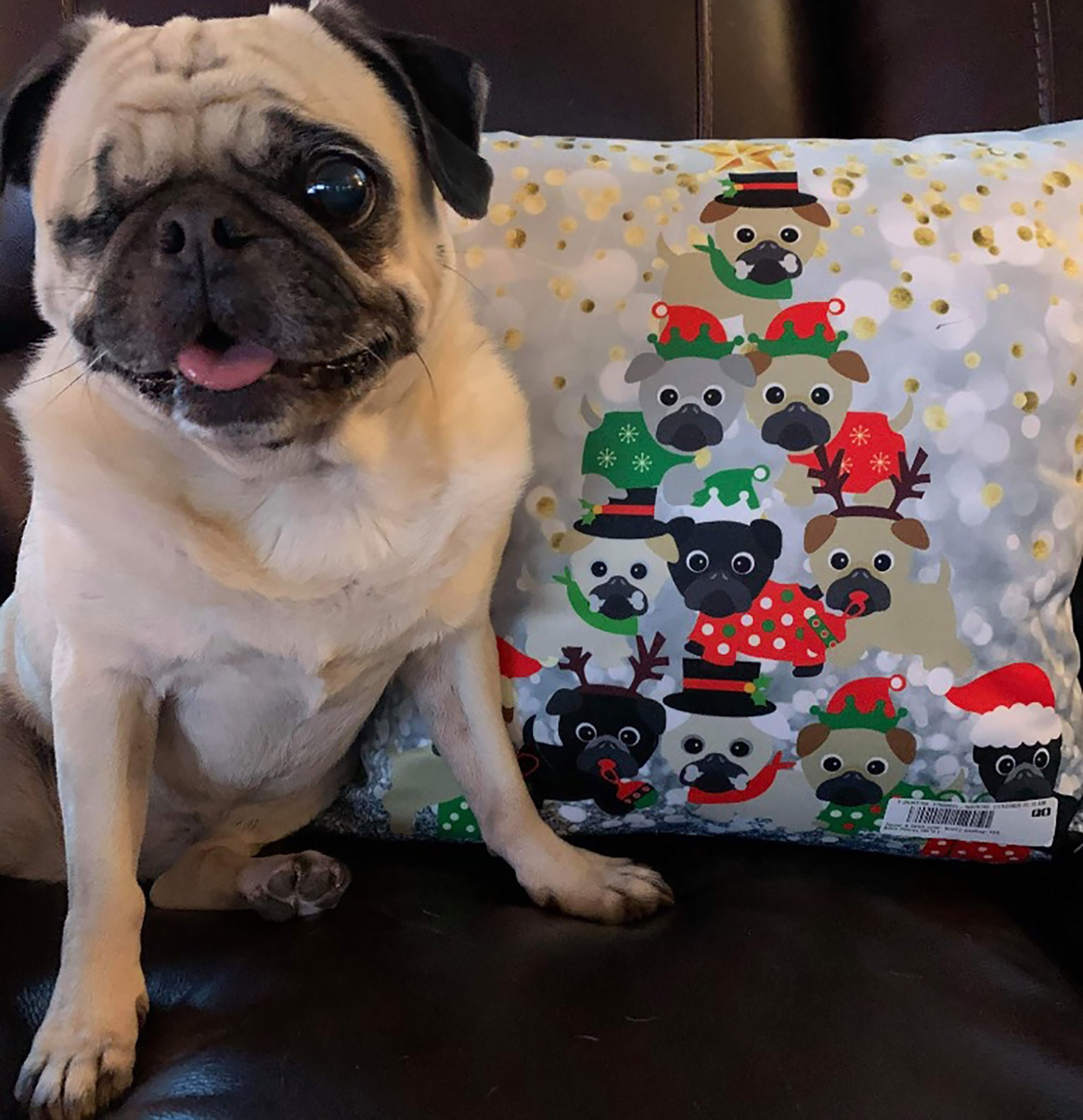 Holiday Pug Christmas Tree Pillow for Your Home, Gift, Decoration ...