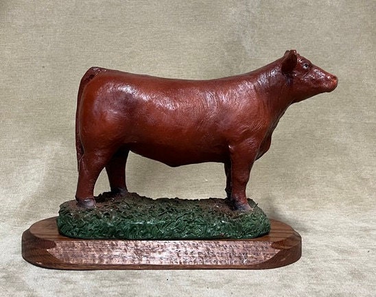 Cow, Beef Steer, Steer, Angus, Hereford, Shorthorn, Red Angus ...