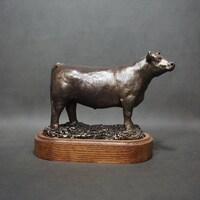 9" Angus Steer Trophy Personalized Free - Etsy