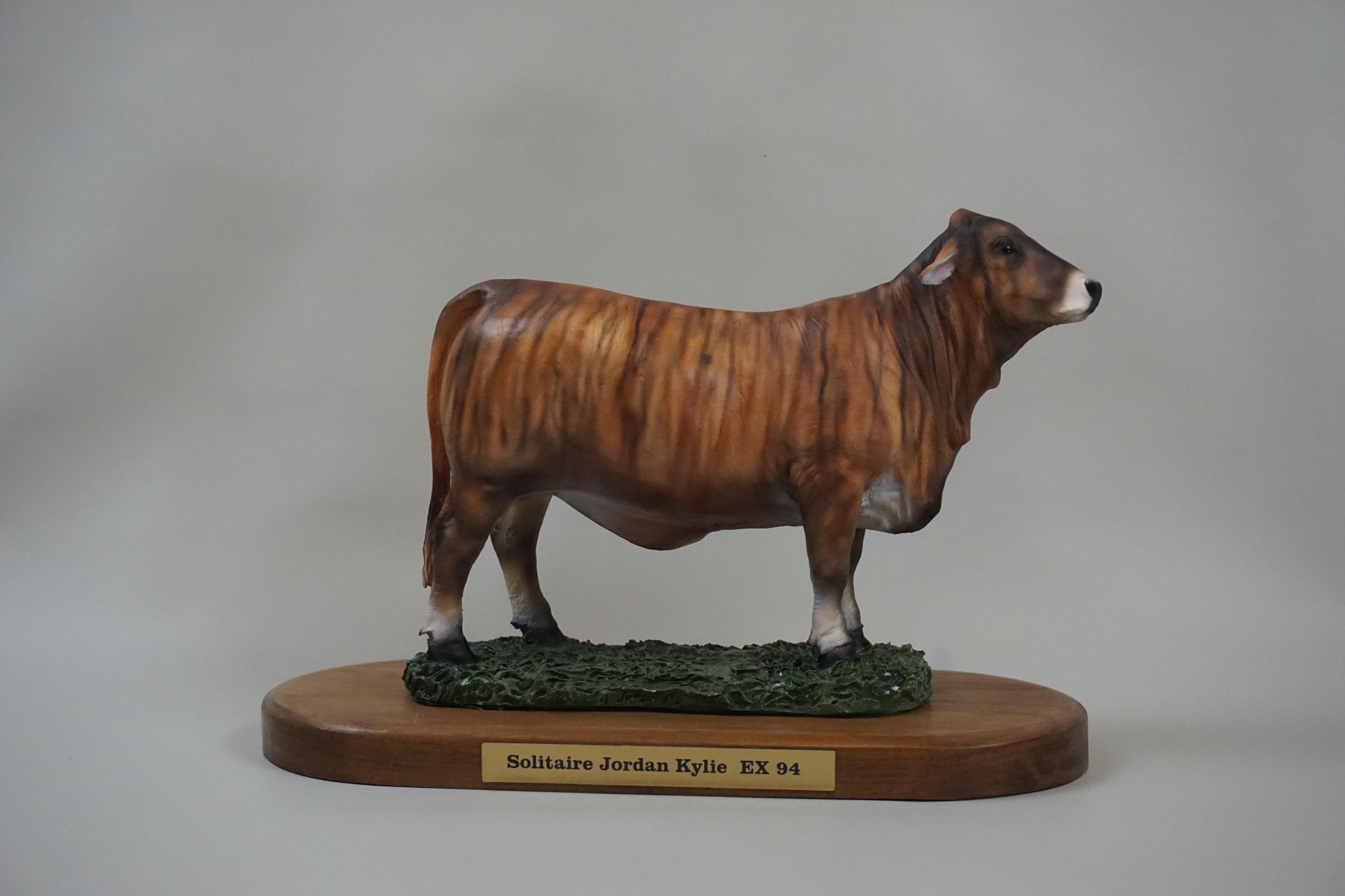 Show Heifer, Beef Heifer, Angus, Hereford, Shorthorn, Red Angus ...