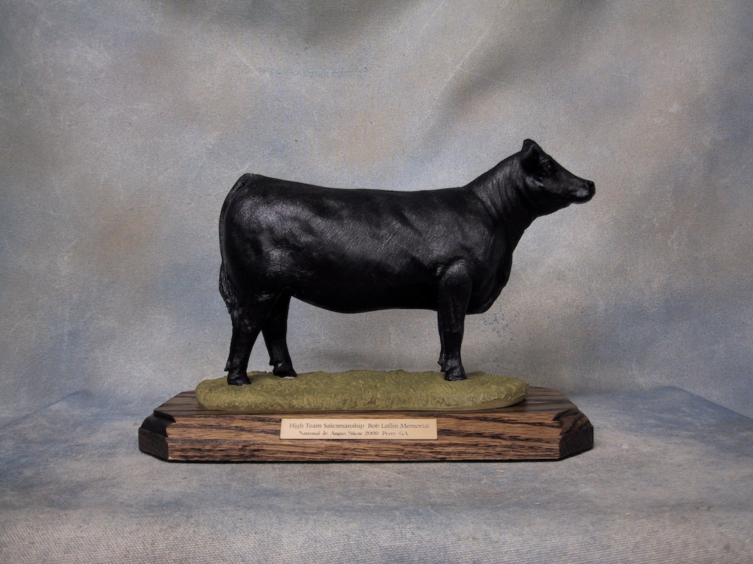 Show Heifer, Beef Heifer, Angus, Hereford, Shorthorn, Red Angus ...