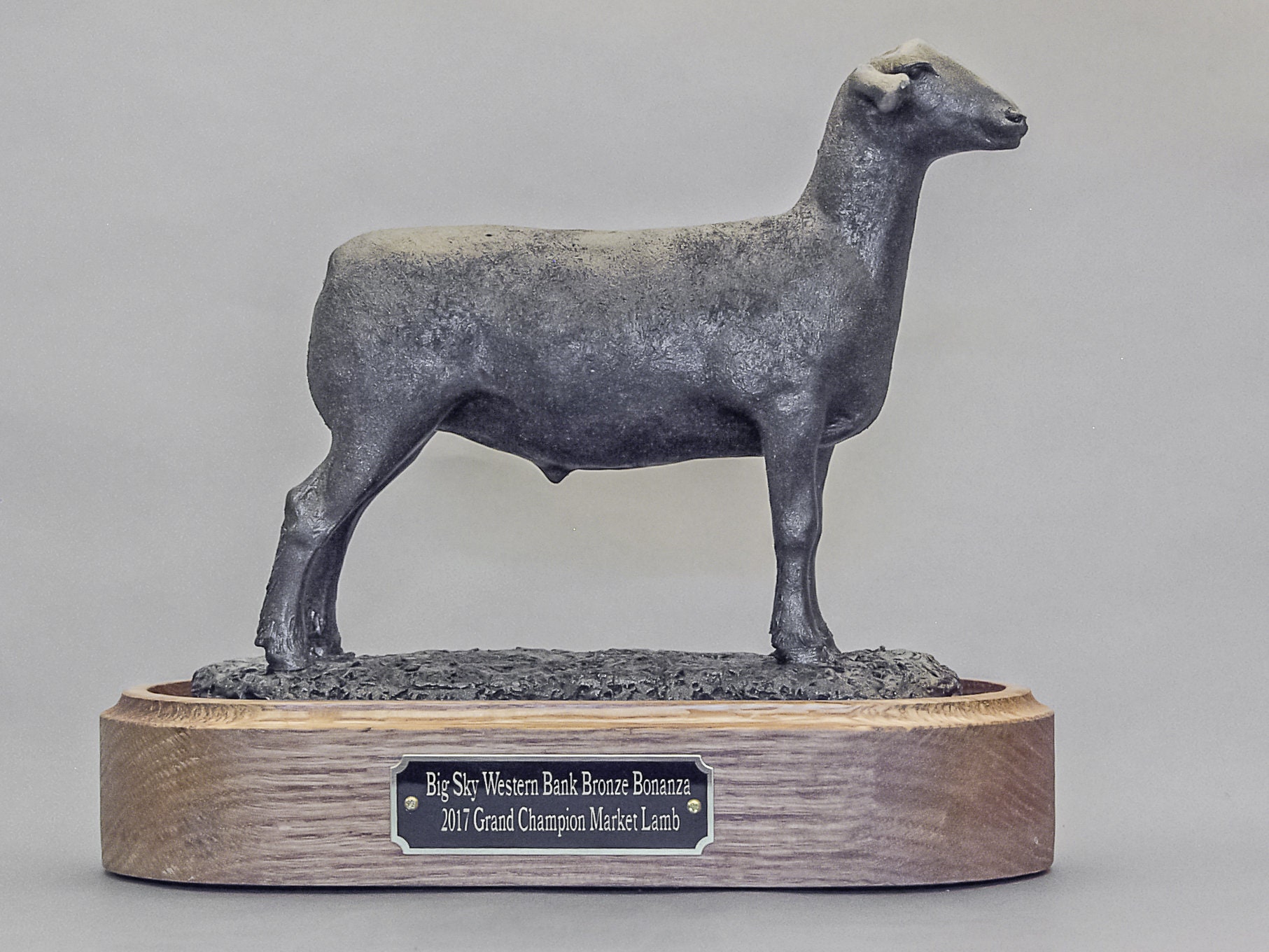 Livestock Awards, Cow, Beef Steer, Beef Heifer, Heifer, Horse, Dairy ...